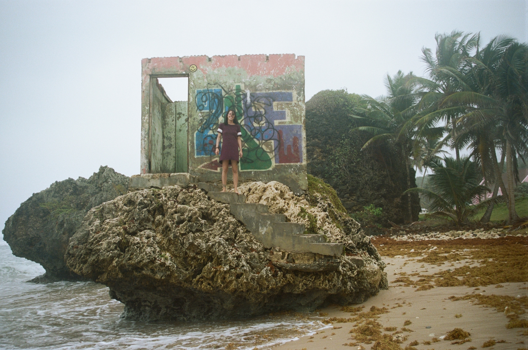 9434-006 – cocogreen